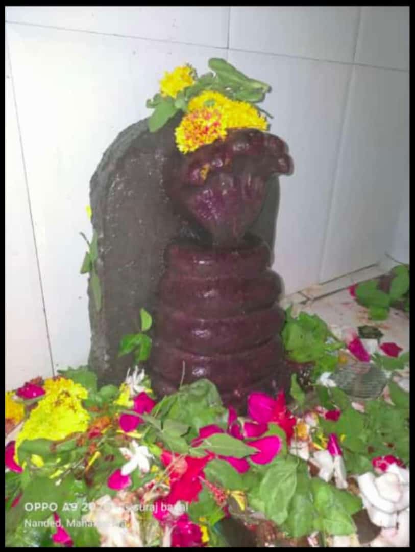 Nagpanchami In Kankadi ; कांकाडी येथे नागपंचमी निमित्ताने अनेक महिलांसह ...